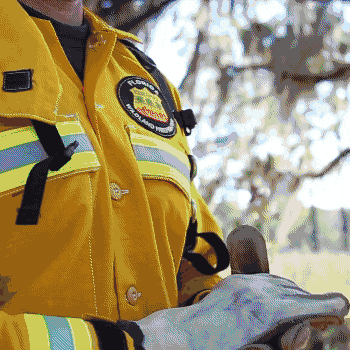 Let Neighbors Know - Why Prescribed Fire