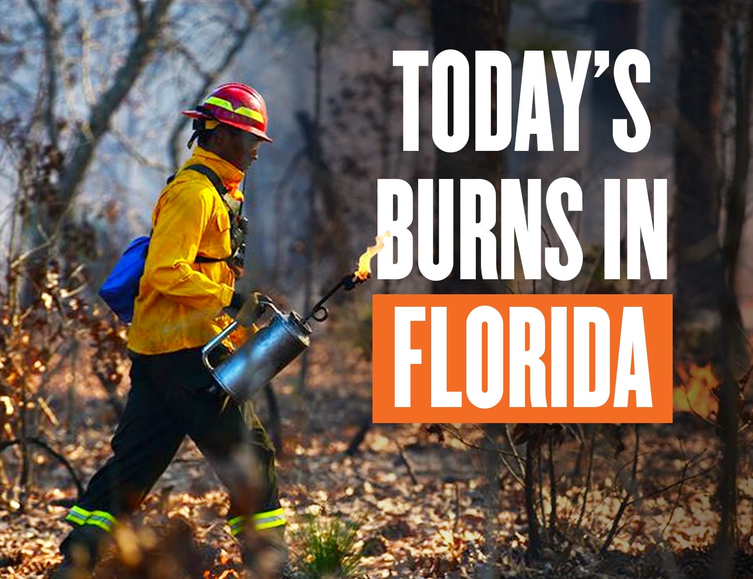 We Know the Power of Prescribed Fire - Why Prescribed Fire